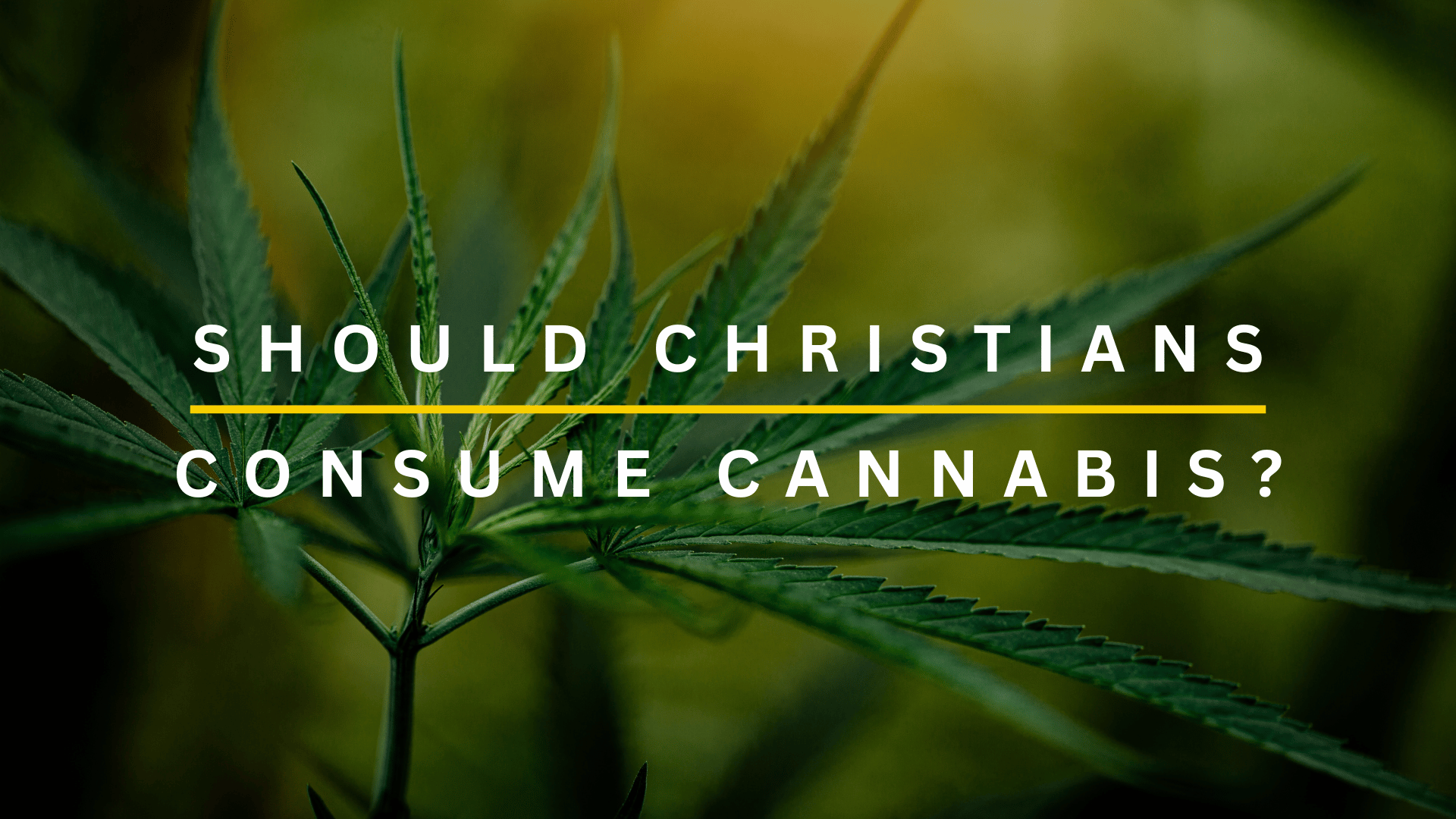 UP IN SMOKE: Exposing the Smog of Pro-Pot Logic | Between Two Cultures